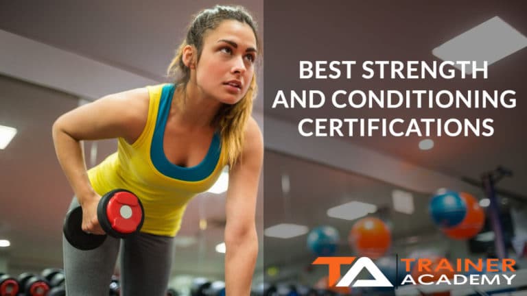 8 Best Nutrition Certifications 2023 - cost vs value compared