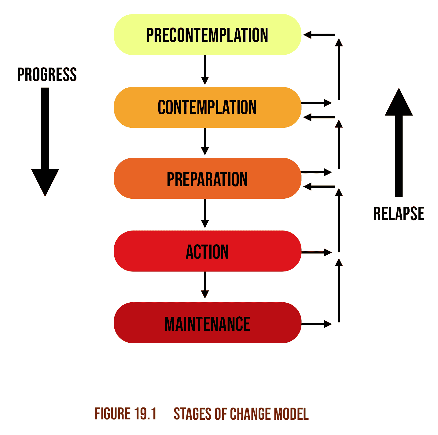 Free NASM Study Guide 7th Ed - Every chapter covered