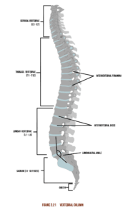 Free NASM Study Guide 7th Ed - Every chapter covered