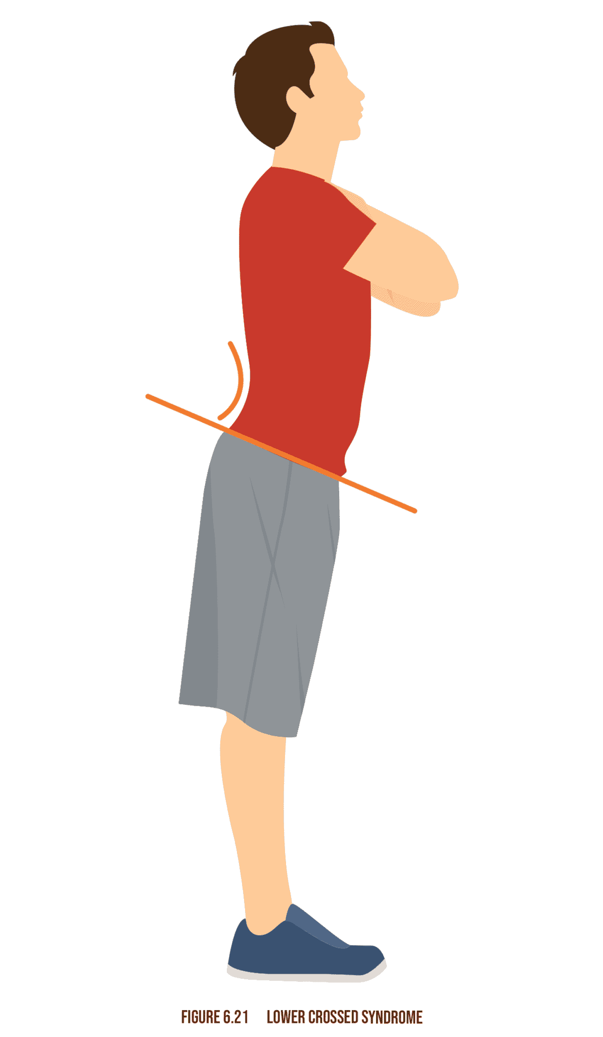 Free NASM Study Guide 6th ed 2022- Crush the NASM exam!