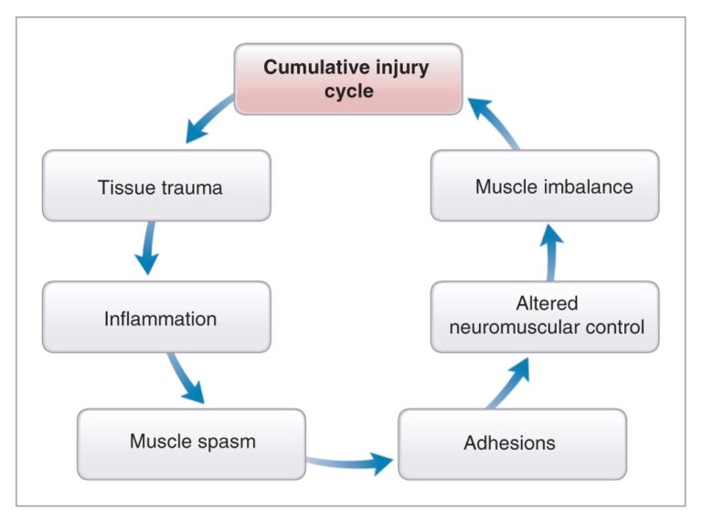 NASM Study Guide 7th Ed 2022 - Pass the NASM exam for FREE!