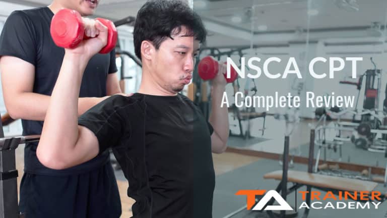 ISSA vs ACE - Which CPT Wins The Battle in 2023?