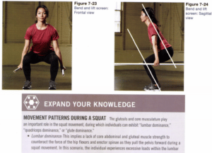 ACSM vs ACE: 7 CPT Criteria Compared [Updated]