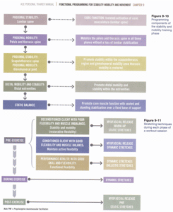 ACSM vs ACE: 7 CPT Criteria Compared [Updated]
