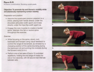 ACSM vs ACE: 7 CPT Criteria Compared [Updated]