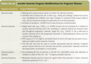 ACSM vs ACE: 7 CPT Criteria Compared [Updated]