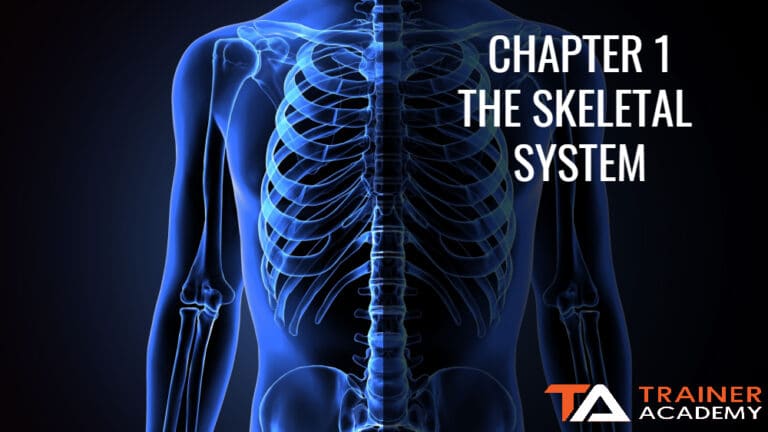 Chapter 12: Principles of Aerobic Training Programs