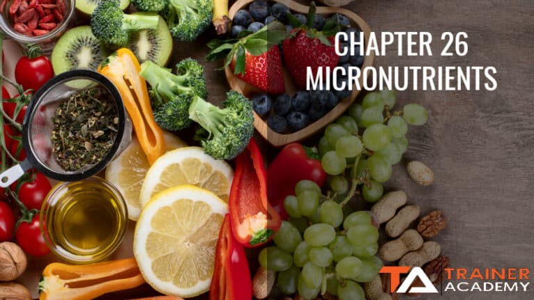 Chapter 12: Principles of Aerobic Training Programs