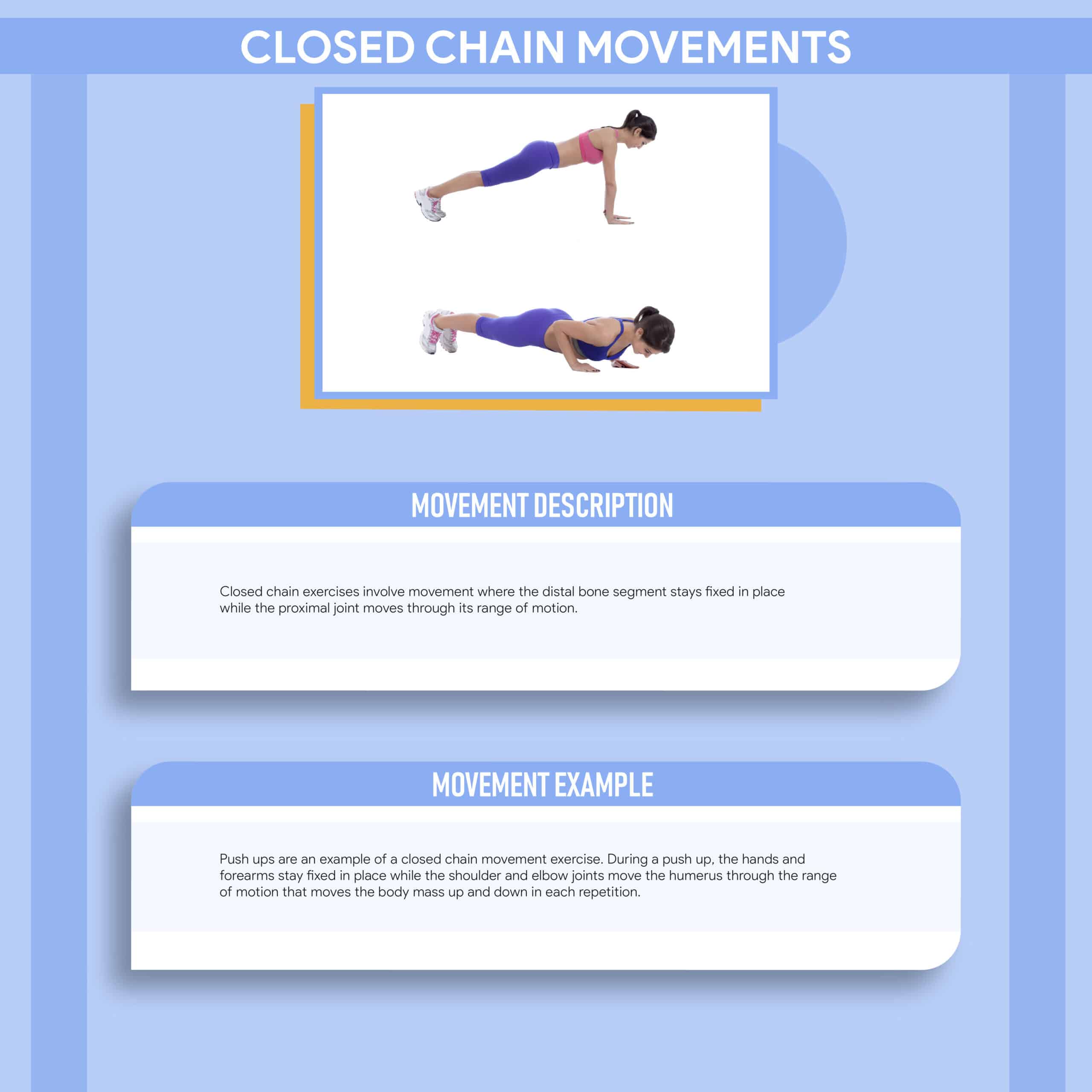 Chapter 6: Biomechanics and Kinesiology