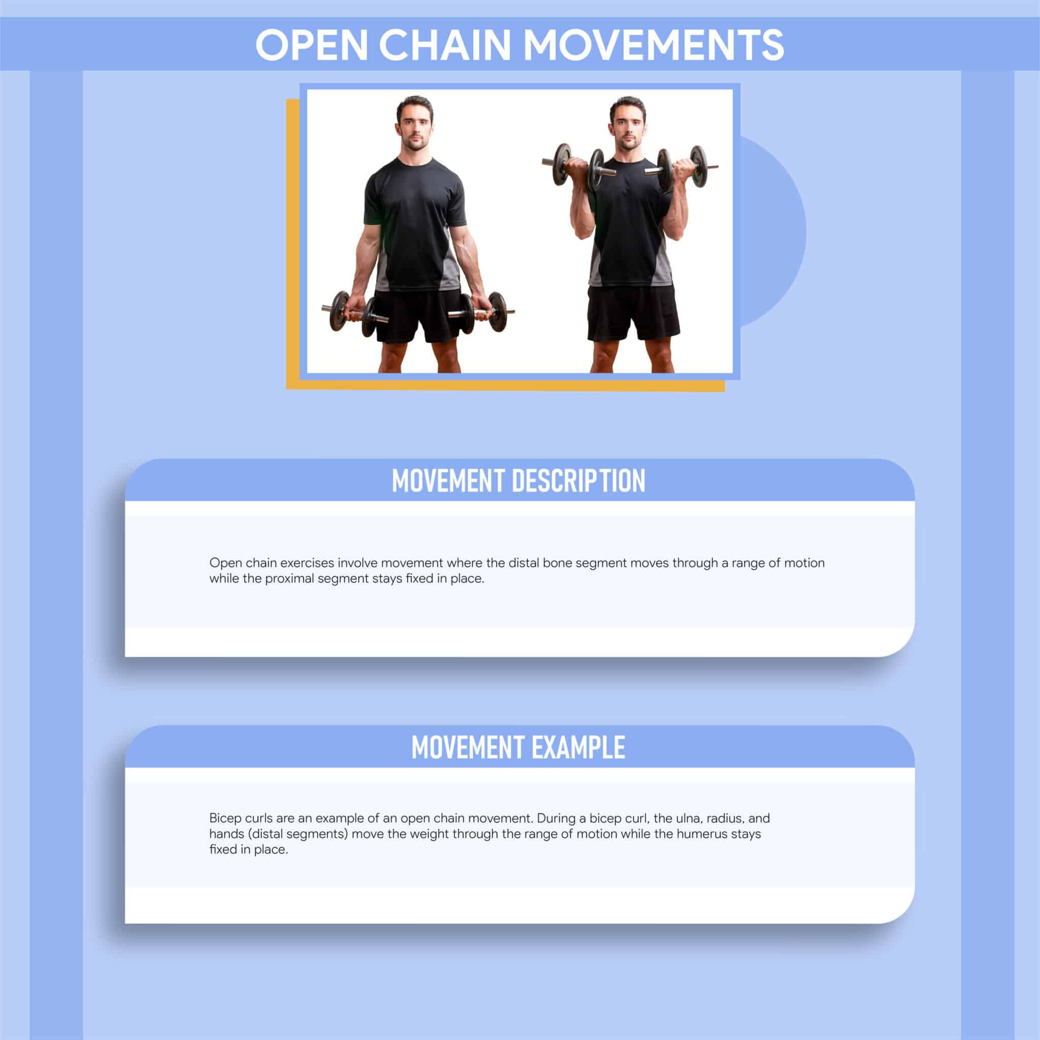 Chapter 6: Biomechanics and Kinesiology