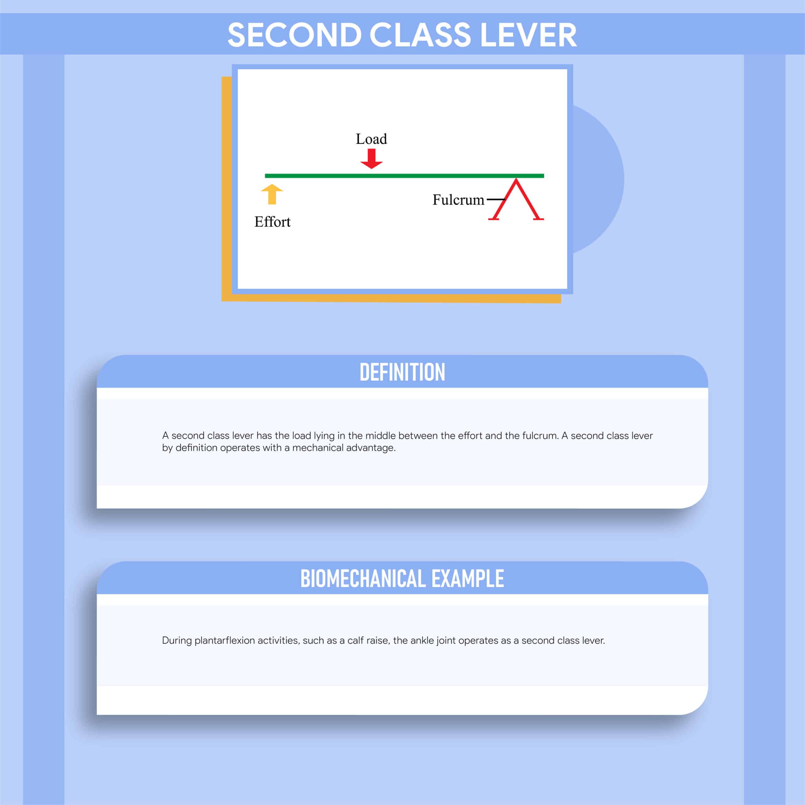 Chapter 6: Biomechanics and Kinesiology