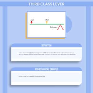 Chapter 6: Biomechanics and Kinesiology