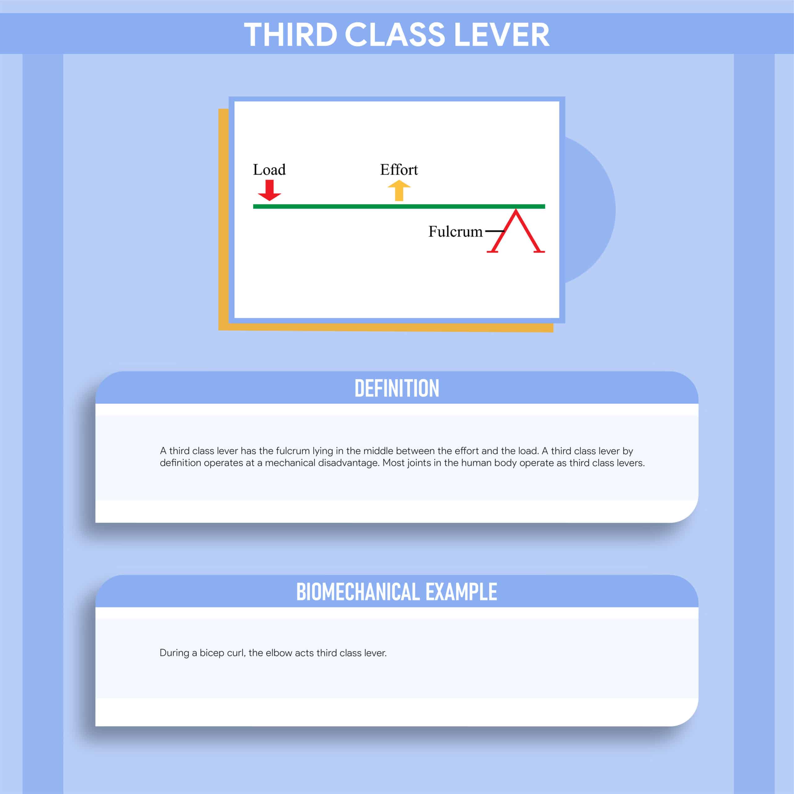 Chapter 6: Biomechanics and Kinesiology