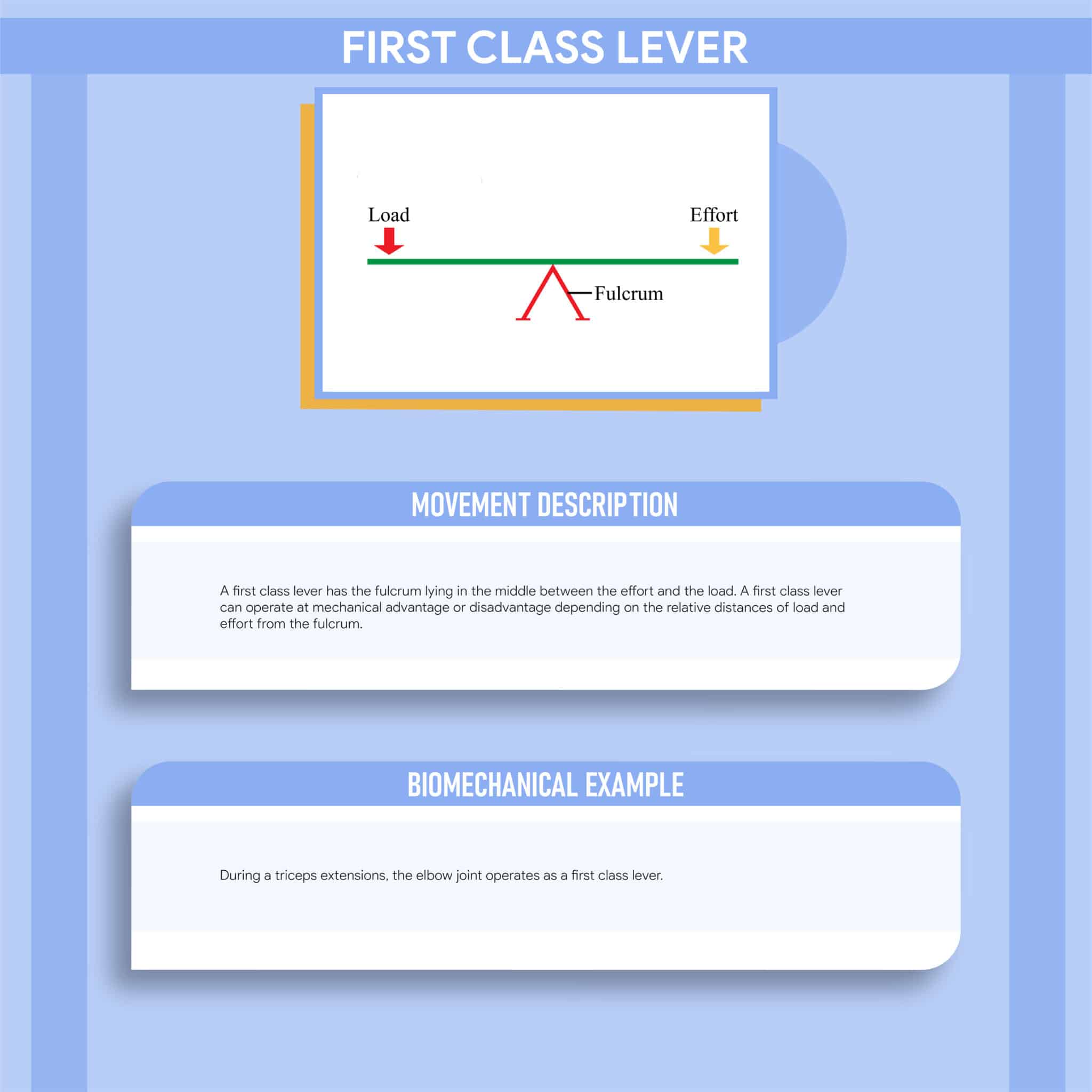 Chapter 6: Biomechanics and Kinesiology