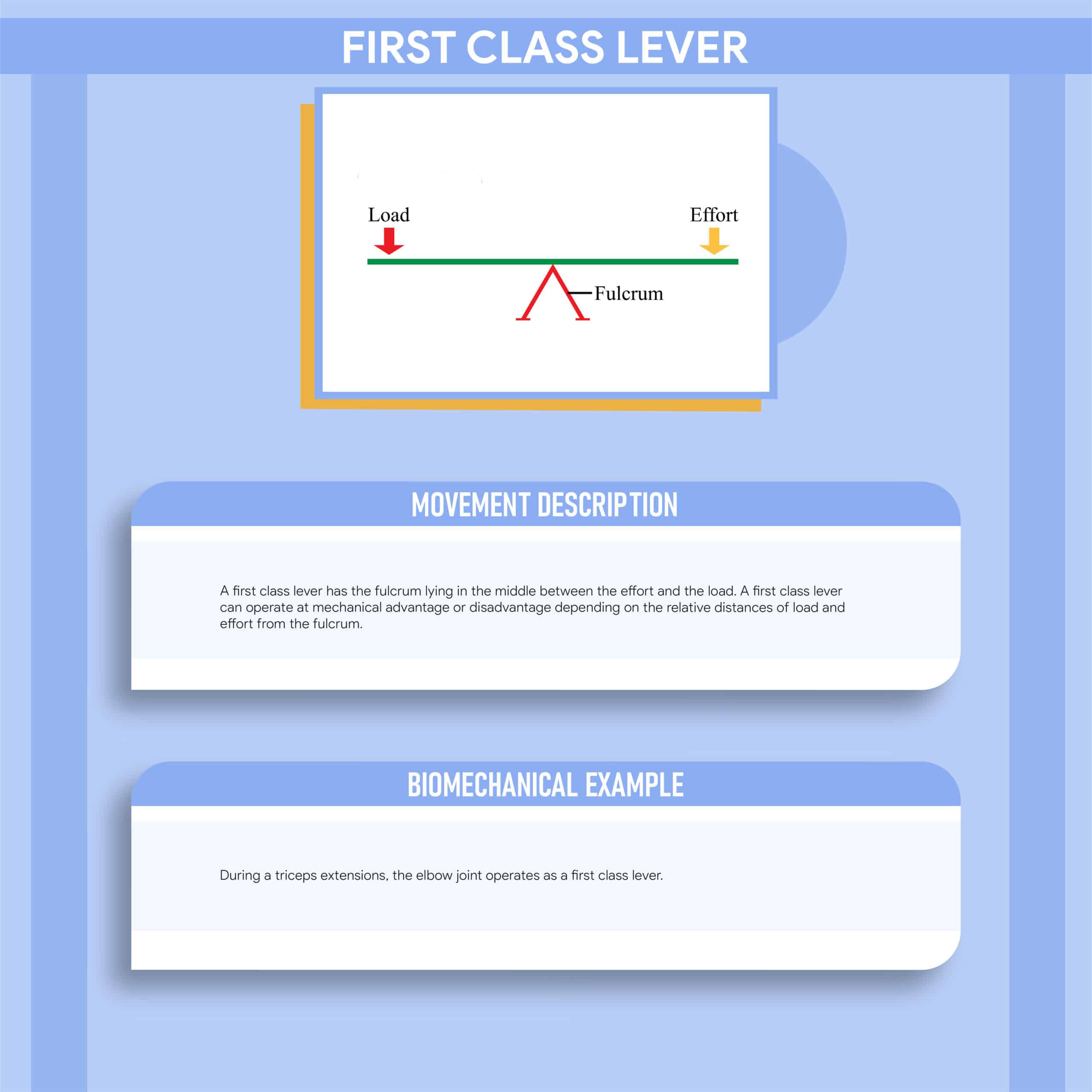 Chapter 6: Biomechanics and Kinesiology