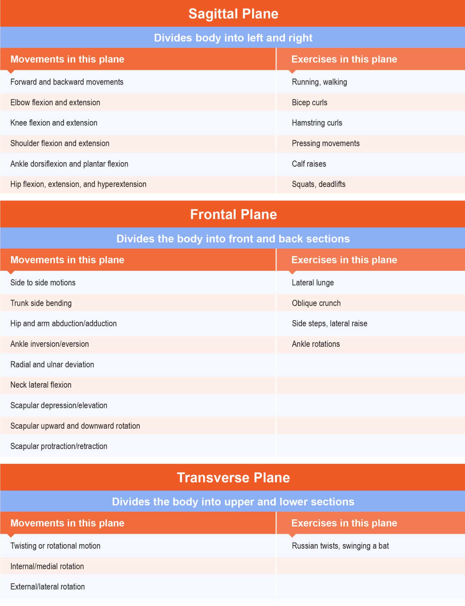 Chapter 6: Biomechanics and Kinesiology