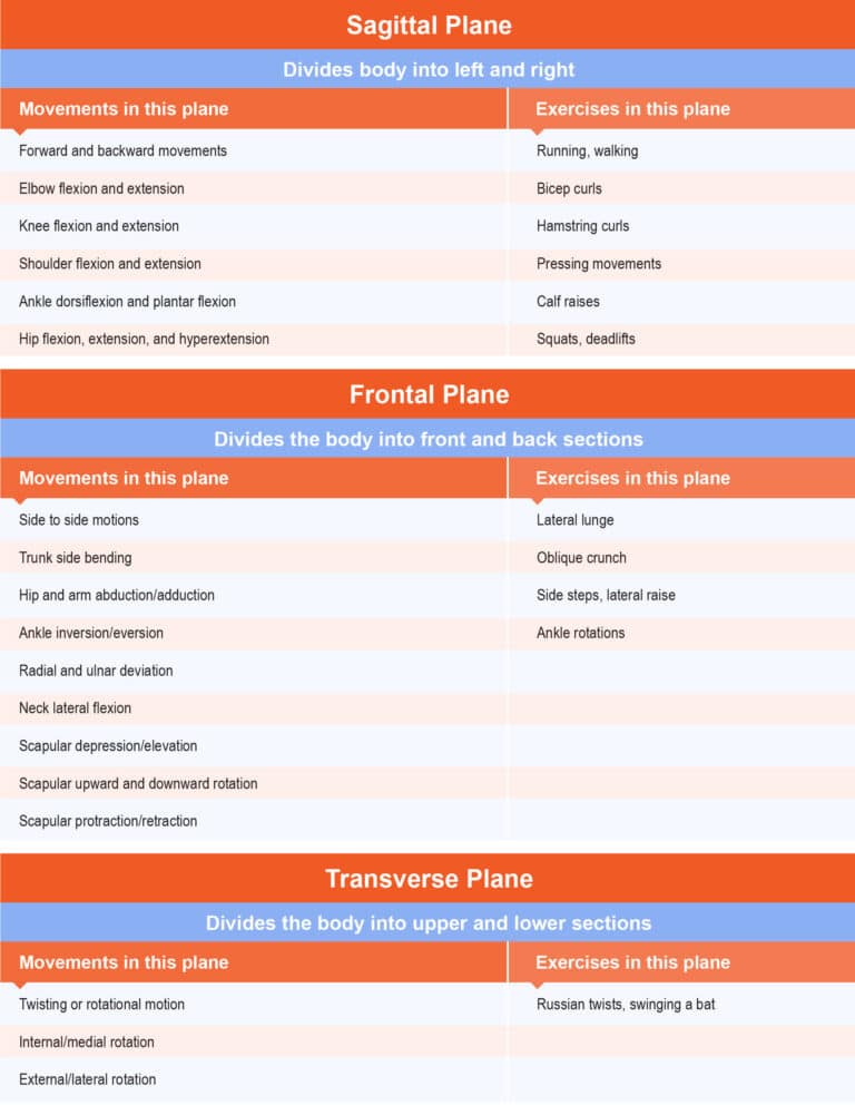 Chapter 6: Biomechanics and Kinesiology