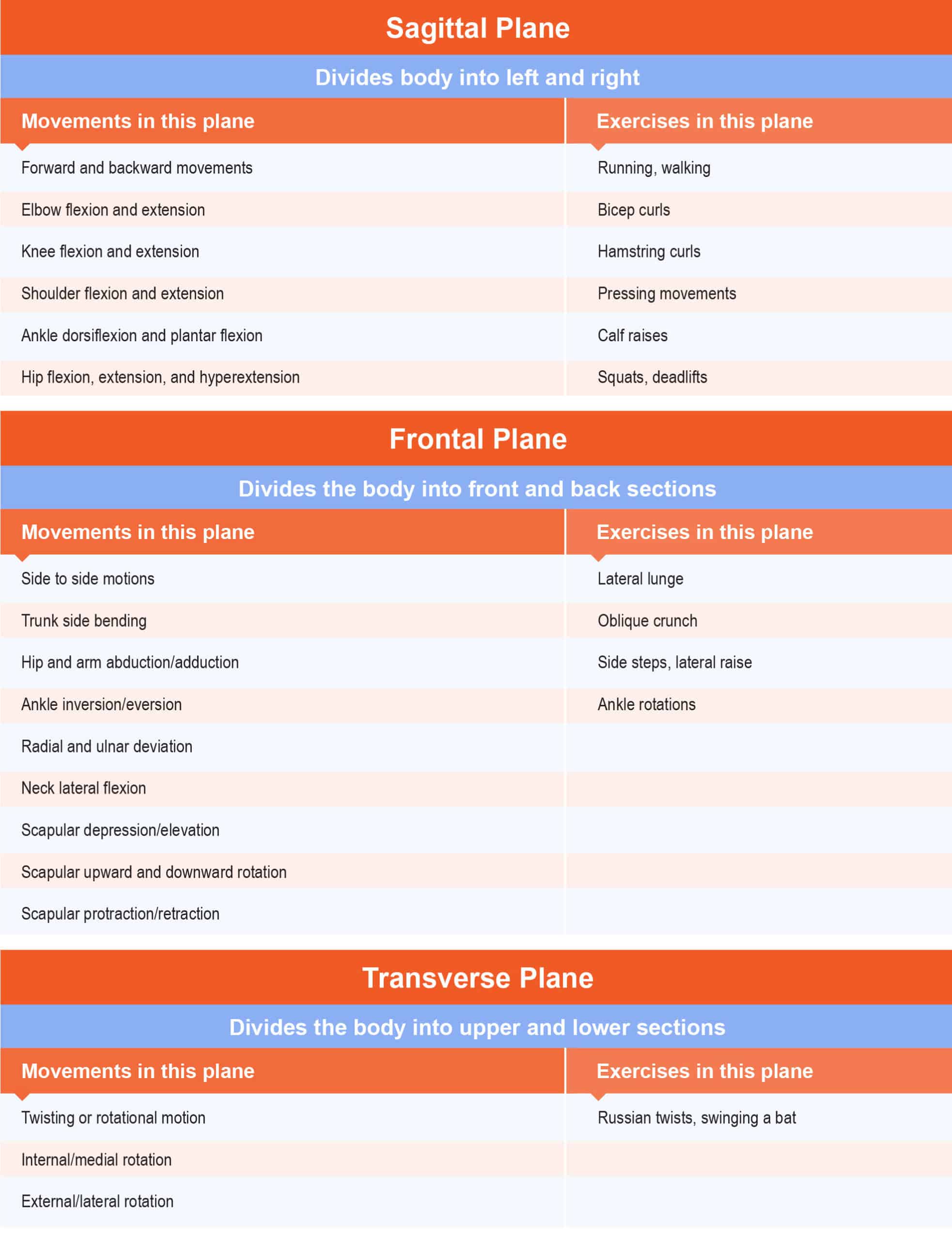Chapter 6: Biomechanics and Kinesiology