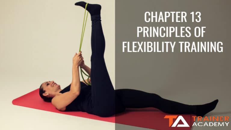 Chapter 20: Principles of Speed, Agility, and Quickness Training