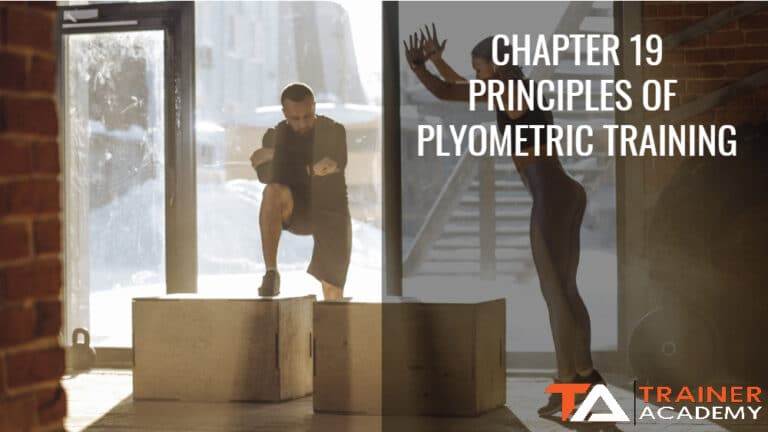 Chapter 20: Principles of Speed, Agility, and Quickness Training