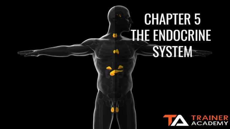 Chapter 18: Periodization