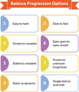 Chapter 21: Principles of Balance Training