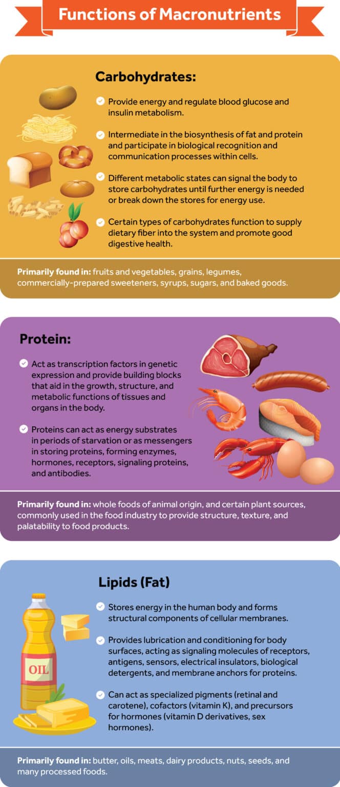 Chapter 25: Macronutrients and Hydration