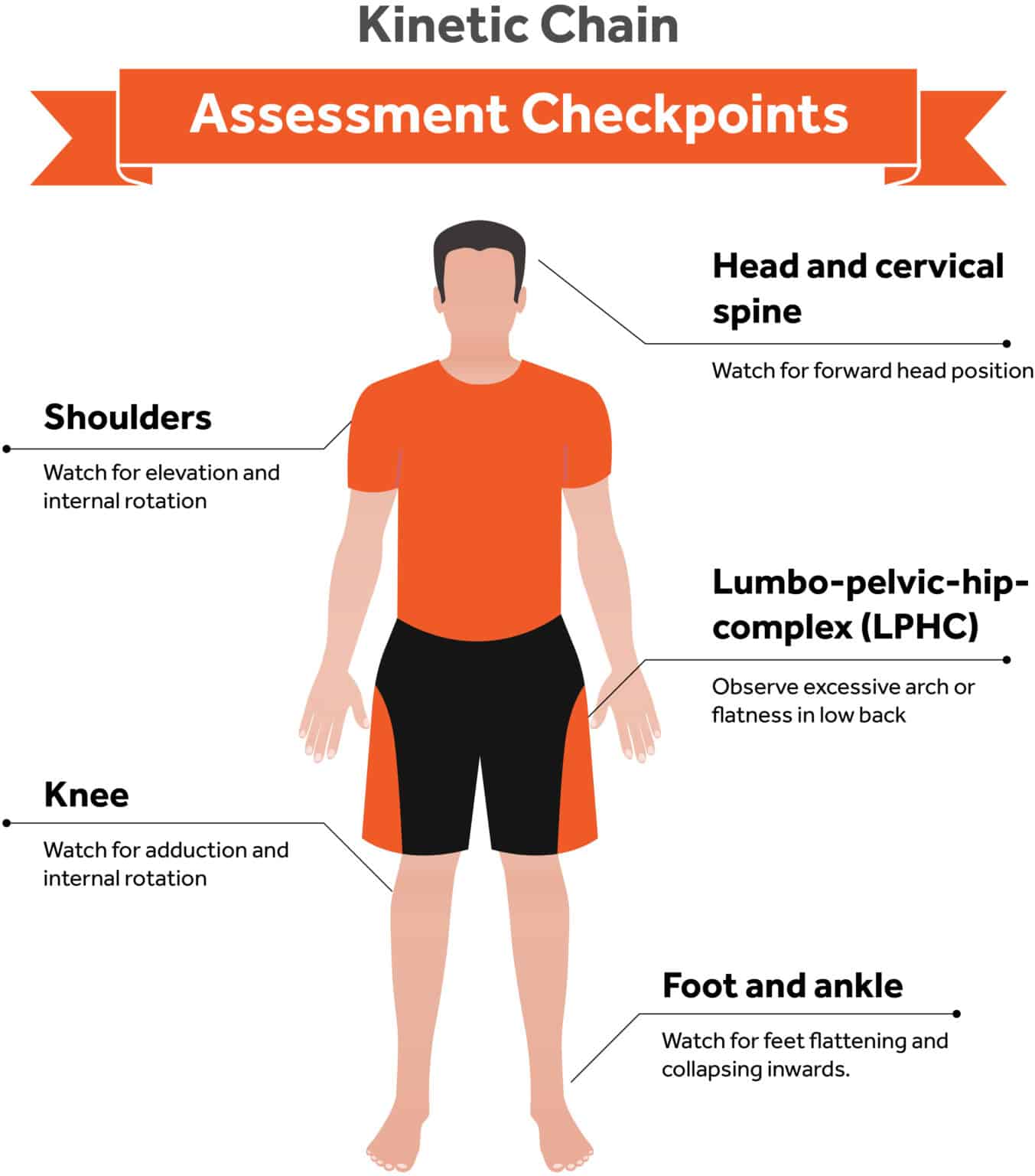 Chapter 10: Posture, Movement, and Performance Assessments