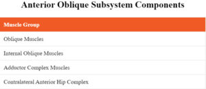 Free NASM Practice Test - 100 realistic exam questions